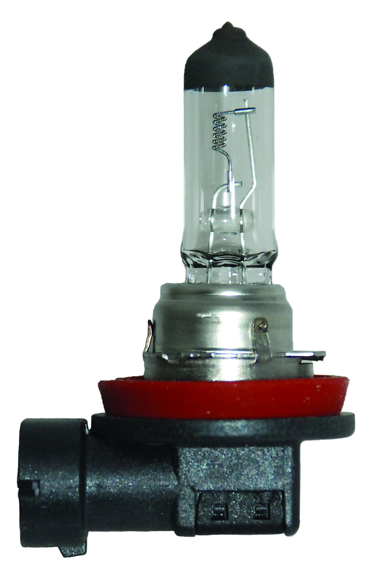 Hella H11 24V Multi Purpose Light Bulb | THMotorsports